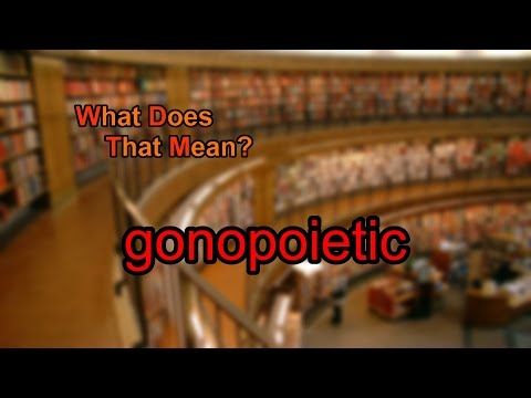 What does gonopoietic mean?