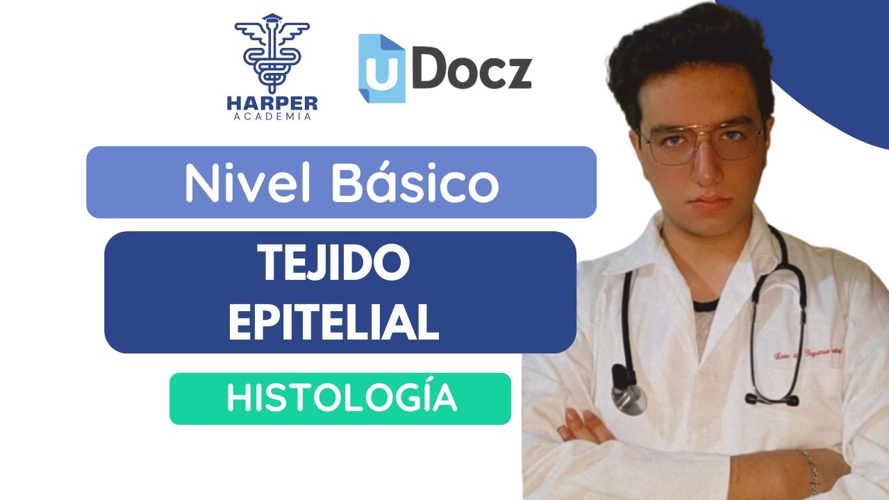 Tejido epitelial con Harper Academia & uDocz 📚