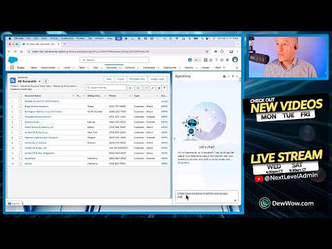 Salesforce AI - Agentforce Agent Custom Lightning Type for Input and Output