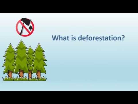 What is deforestation ?