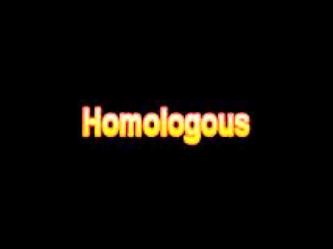 What Is The Definition Of Homologous - Medical Dictionary Free Online Terms