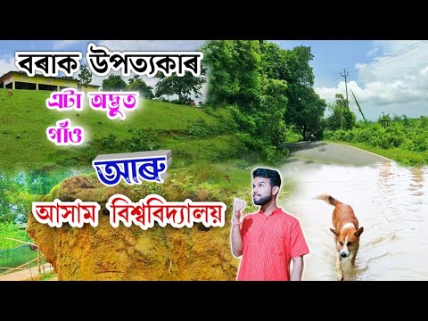 A beautiful village of Silchar | Barak Valley | Irongmara | Assam University |এটা অদ্ভুত ধুনীয়া গাঁও