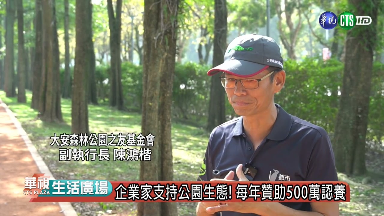 真愛樹 大安森林公園基金會呵護樹的健康|華視生活廣場 大安森林公園之友基金會