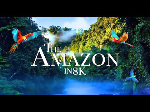 Amazon 8k - The World’s Largest Tropical Rainforest | Relaxation Film with Calming Music