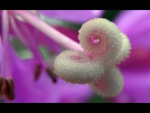 Can Math Be Beautiful?