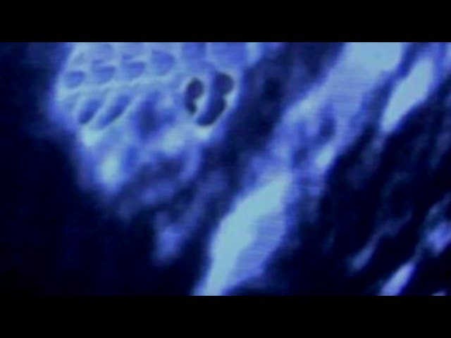 Beelzebub Demon Dictionary - Male Demon Names List & Demonology