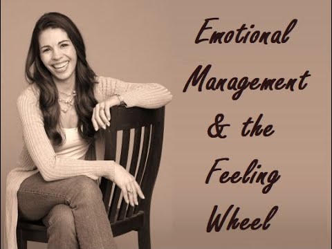 Feelings Wheel - English