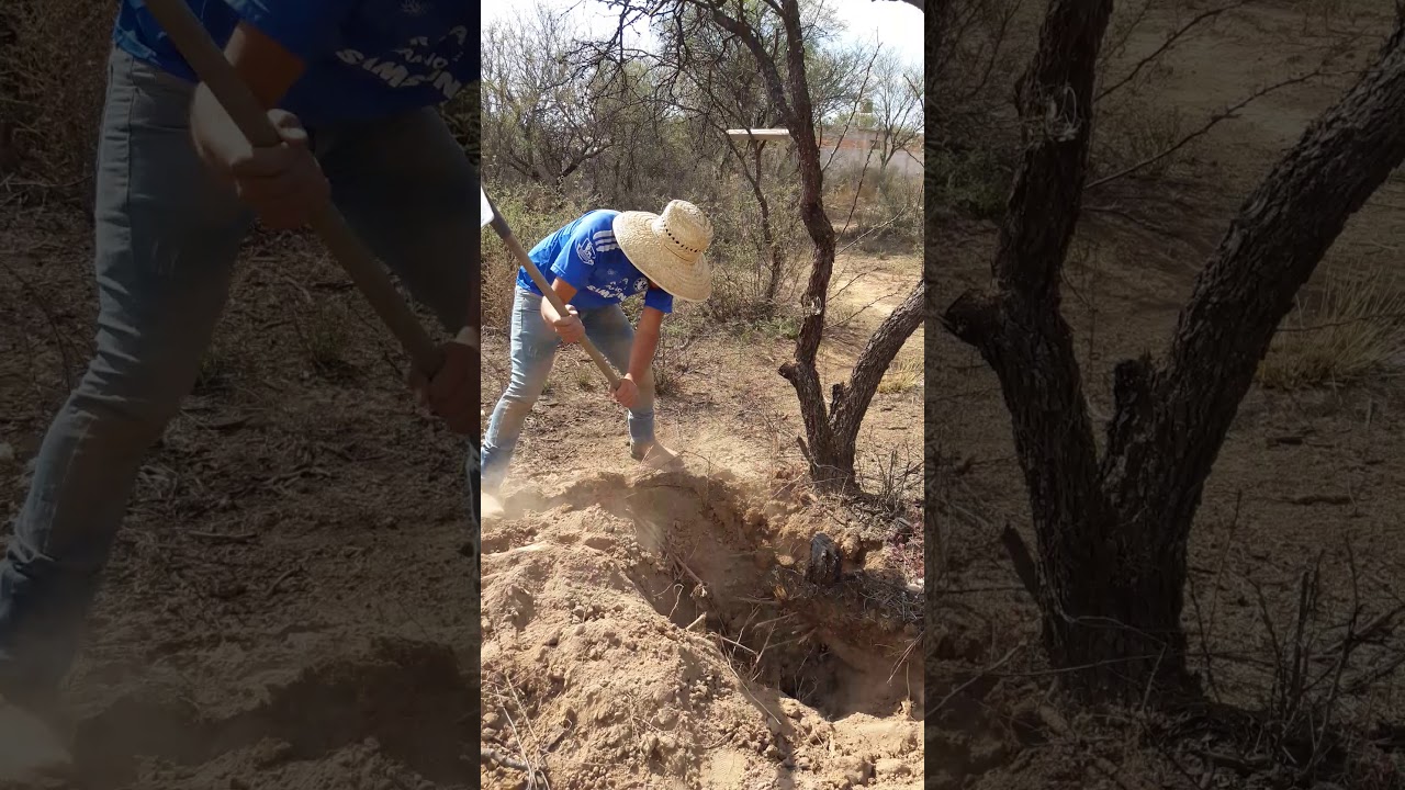 Tumbando mesquites a talache