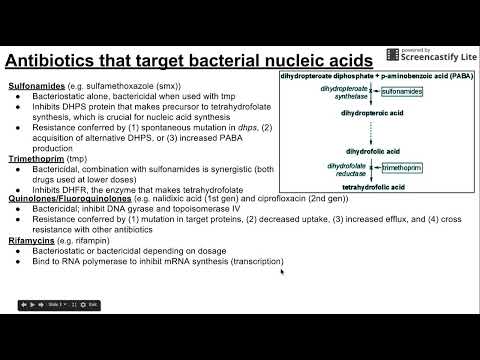 Antibiotics that target bacterial nucleic acids