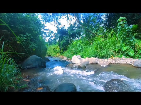 🔴Beautiful Mountain River Flowing Sound(54). Forest River, Relaxing Nature Sounds, Sleep, Relax
