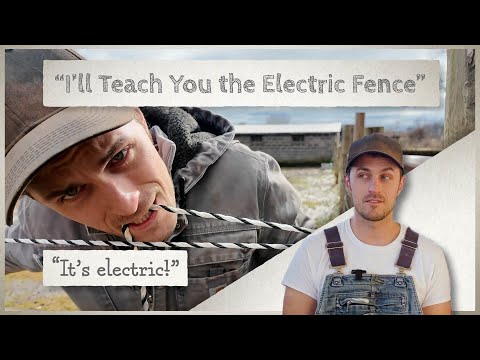 Easy to Install Electric Rope Horse Fence