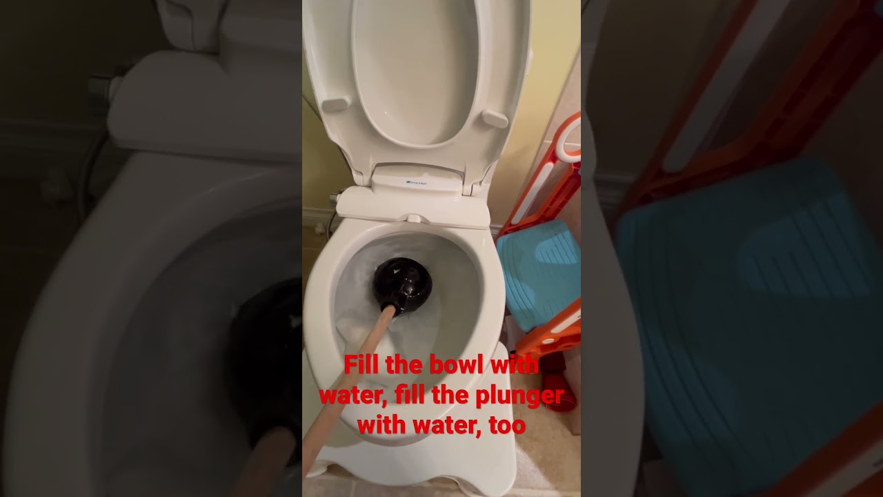 How to properly use a toilet plunger #clog#clogged #toilet #daddy#wife