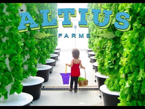 Altius Farms - WeWork Creator Award submission
