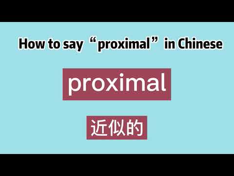 How to say “proximal” in Chinese