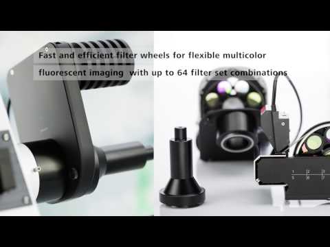 Inverted Tissue Culture Microscope at Best Price in India