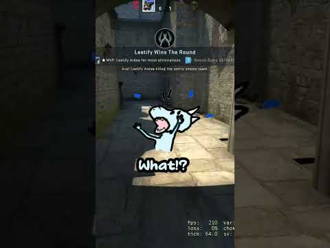 Steam Community :: Video :: CS:GO: Ardee hits an insane flick!