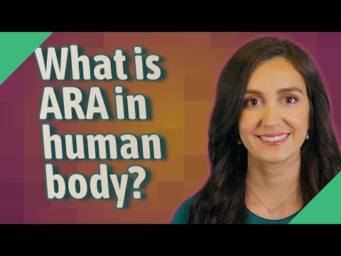 What is ARA in human body?