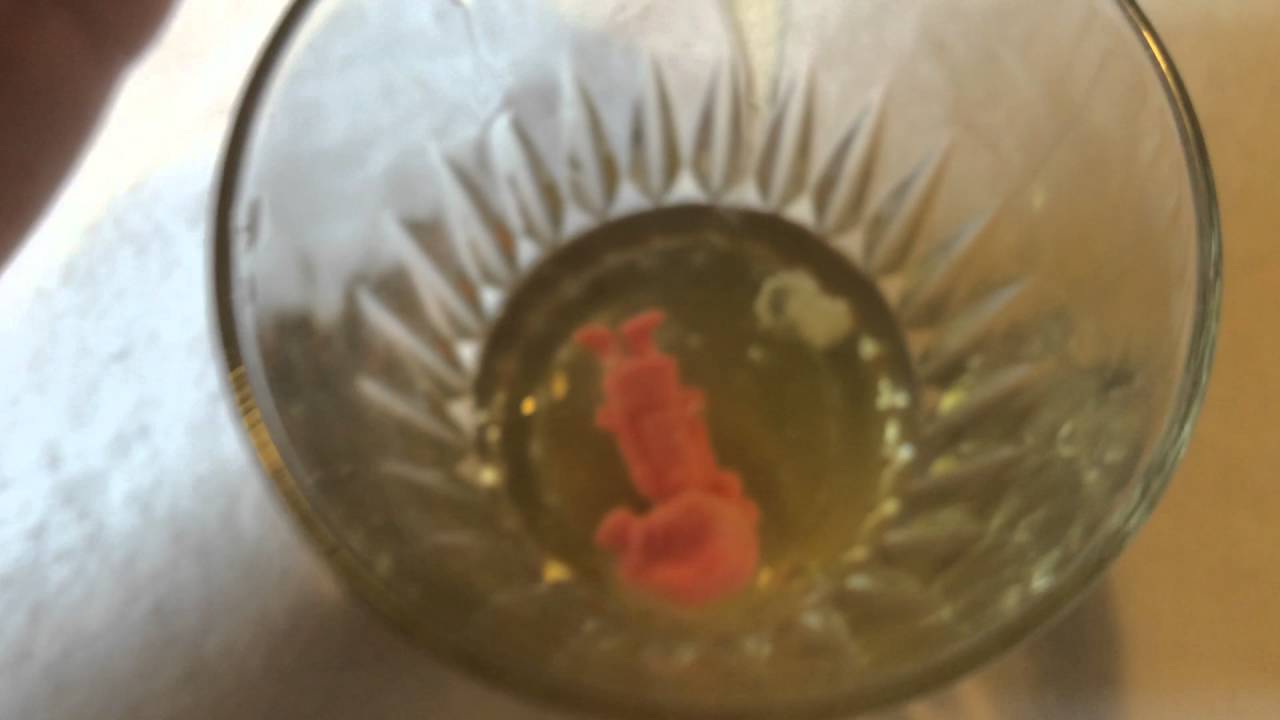 DIY Homunculus Experiment!