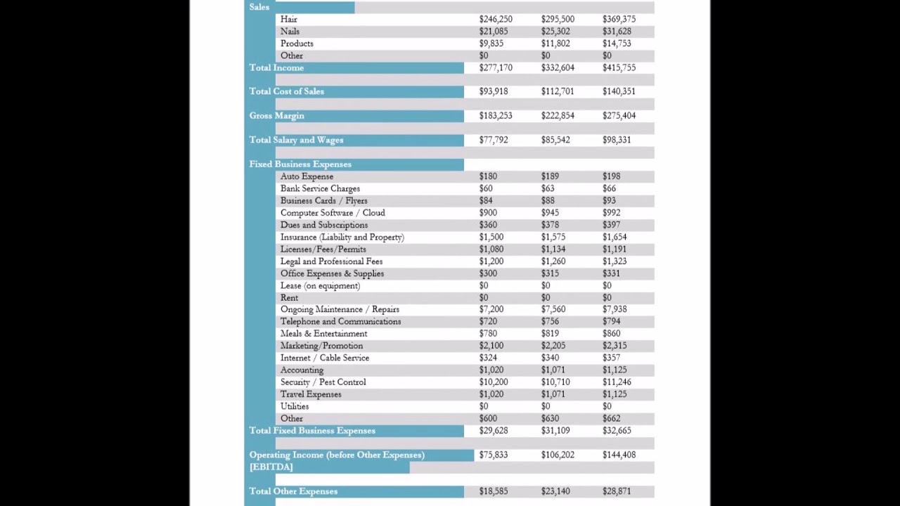 Salon Income Profit Loss statement projections - example sample template