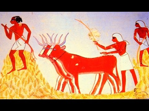 Making Sense Of Climate Change 3: The Beginning of the Age of Humans