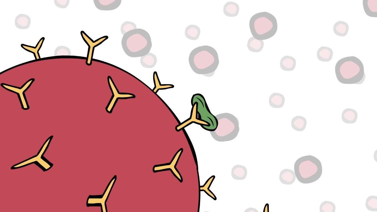 Benefits of Invitrogen ProcartaPlex multiplex immunoassays for the Luminex platform