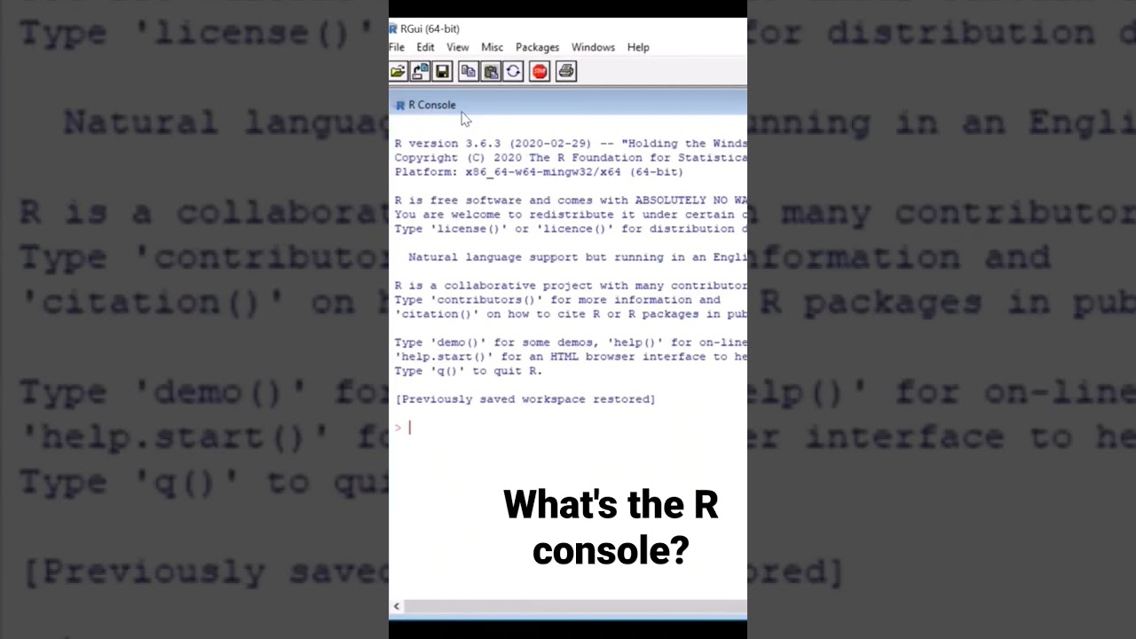 What is the R console?