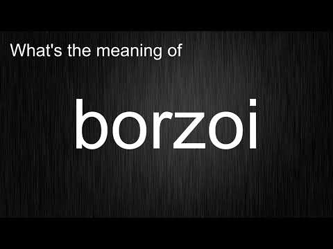 What's the meaning of "borzoi", How to pronounce borzoi?