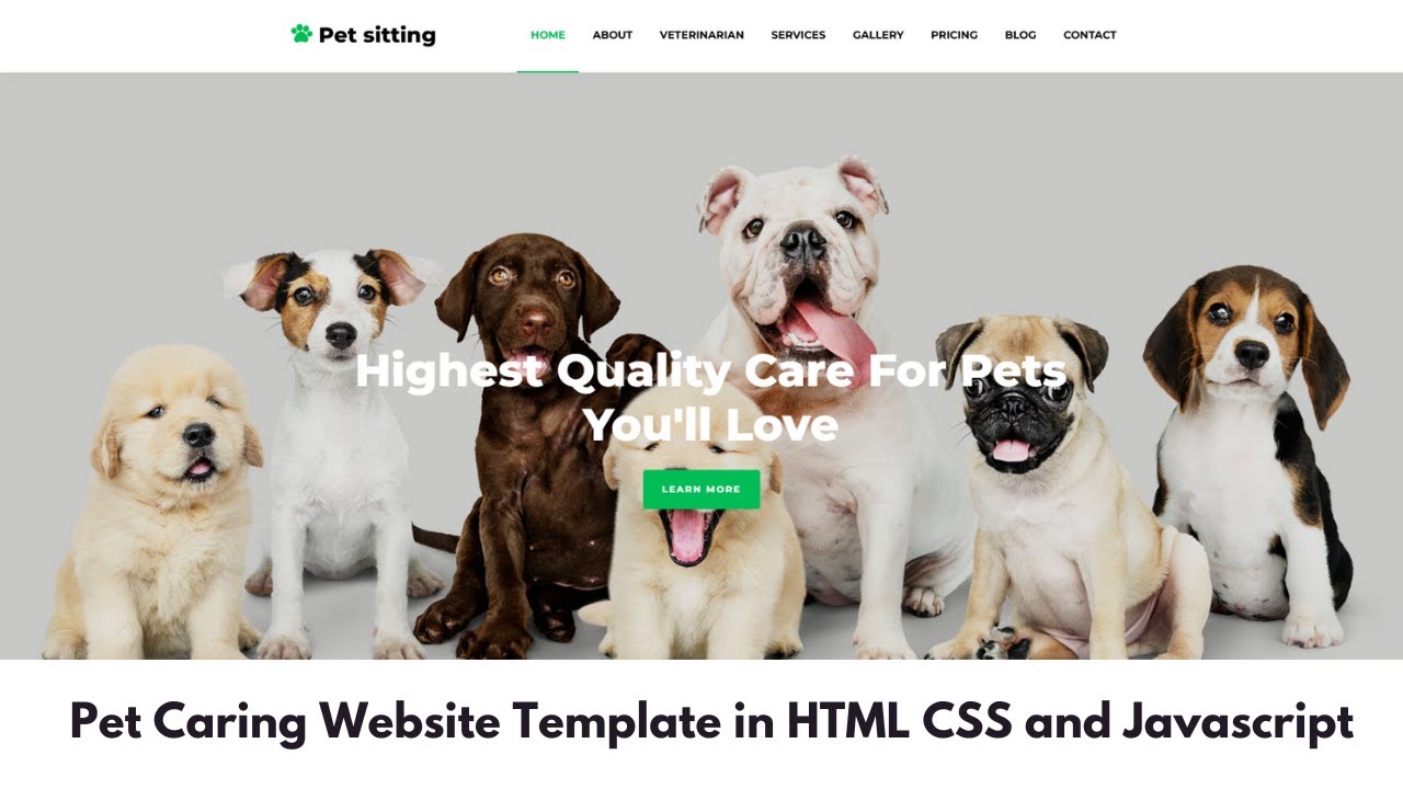 How to Make a Pet Caring Website In HTML CSS and Javascript | Source code