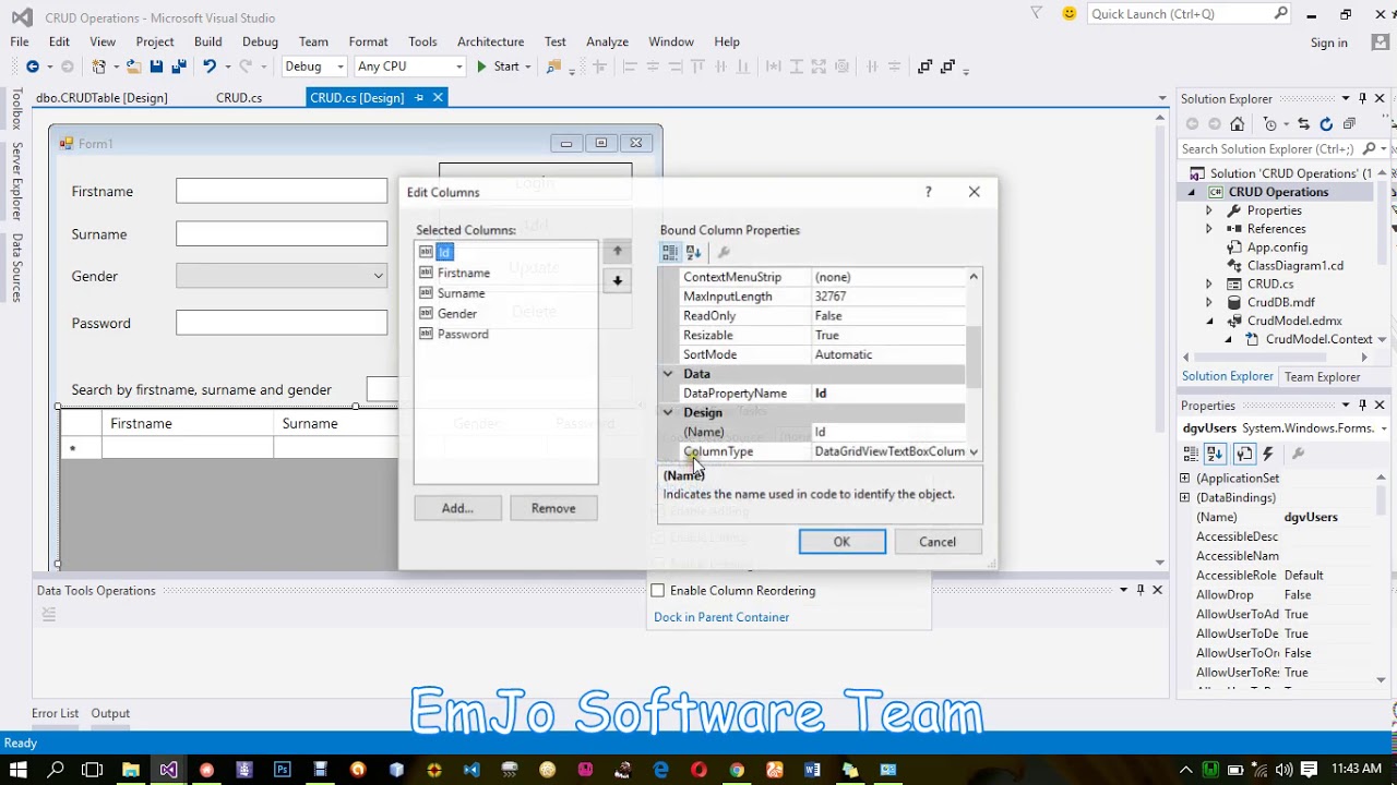 Performing Database Operation Adding Entity & Populating DataGrid View