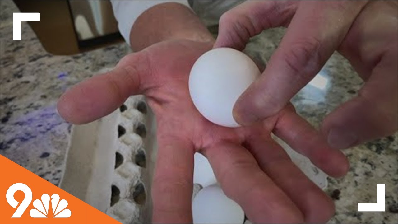 Science Minute: Egg experiments for Easter