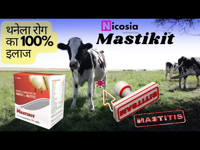 Animal Feed Supplement - Mastitis Kit For Cattle. Mastikit Manufacturer ...