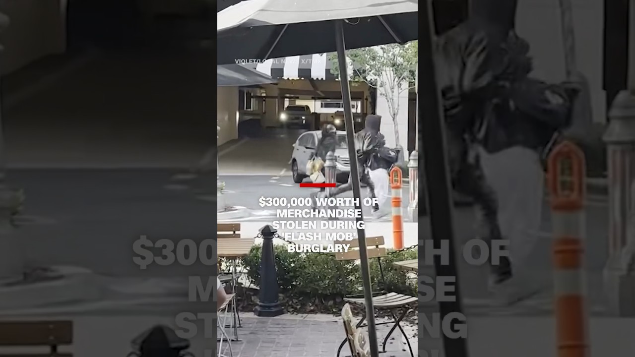 $300,000 worth of merchandise stolen during 'flash mob' burglary