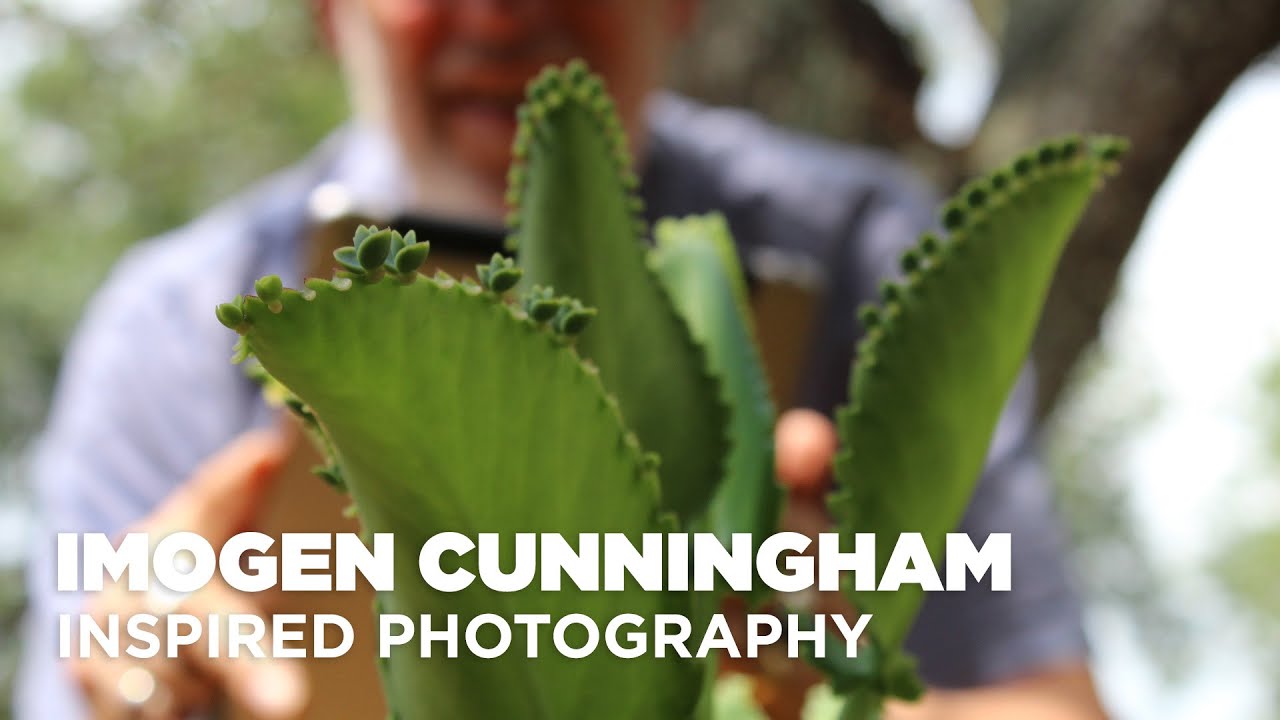 SAM Creates: Through Imogen Cunningham's Lens