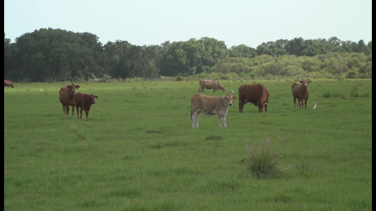NCBA's Cattlemen to Cattlemen – May 4, 2026