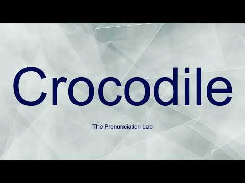 Crocodile Pronunciation: How to Pronounce Crocodile— How to Say Crocodile?