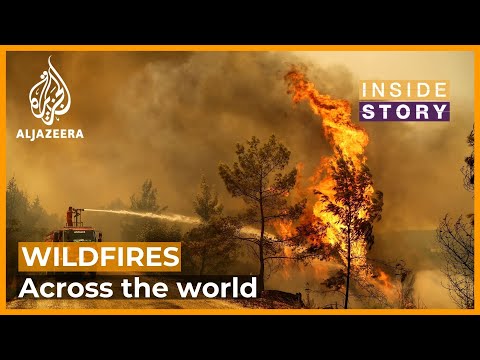 What's causing wildfires? | Inside Story