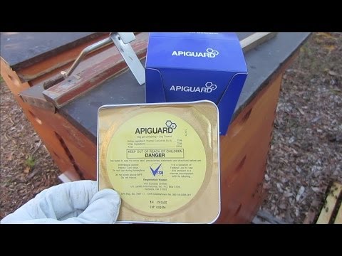 Beekeeping: Dead Hive, Mite Treatment & Winter Honey Harvest