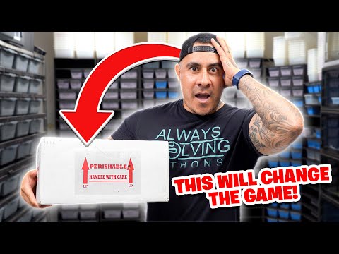 This Snake Will Change Our Season! Unboxing!