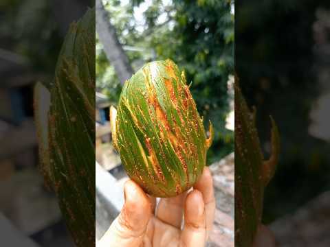 Spicy raw mango #shortsviral #viralshorts #