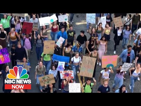 Major Climate Stories Of 2019: From Record-Breaking Temperatures To Mass Protests | NBC News NOW