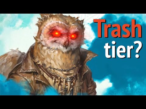 D&D: The BIG Problem with the Owlin Race