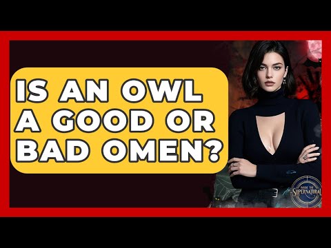 Is An Owl A Good Or Bad Omen? - Inside the Supernatural