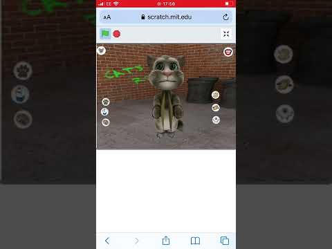 Old talking Tom cat on scratch