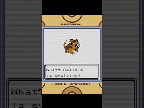 Rattata Evolution In Pokemon Gold