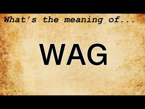 WAG Meaning : Definition of WAG
