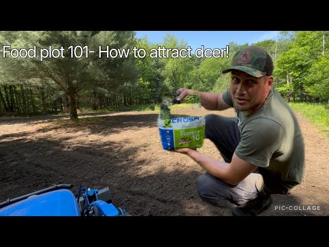 Best way to bring in deer! Easy diy plots!