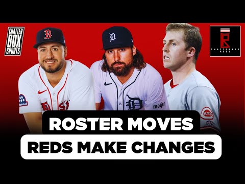 Cincinnati Reds Roster SHAKEUP! Jacob Hurtubise DFA'd, Ryan Vilade and Brain Van Belle Acquired