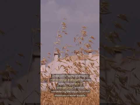 Meteorological Drought Uncovered: What It Is and Why It Matters