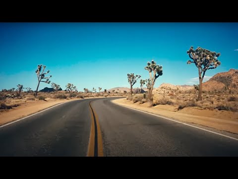 Pampa Folks - Blind Silhouettes (Official Video)