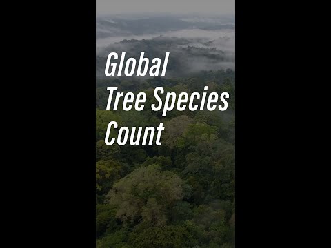 Global Tree Species Count